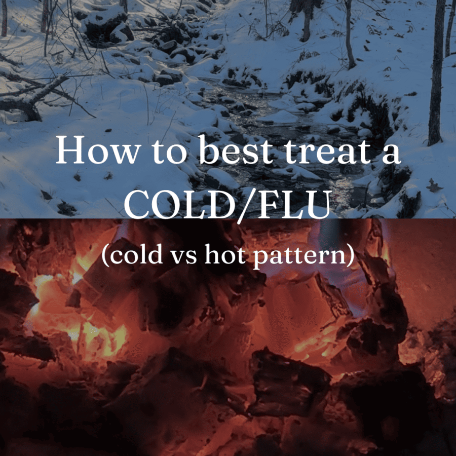 Are your cold/flu symptoms hot or cold in nature? A TCM perspective ...